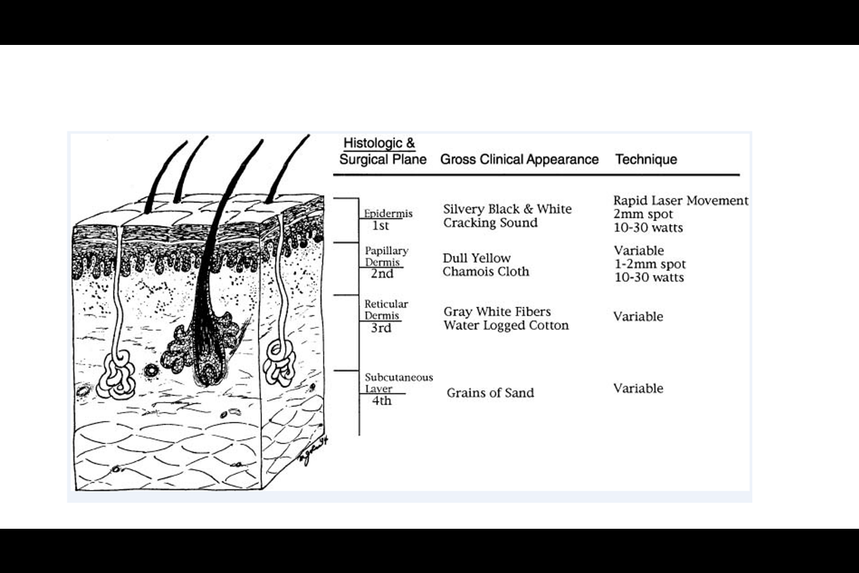 Preinvasive Vulvar Disease