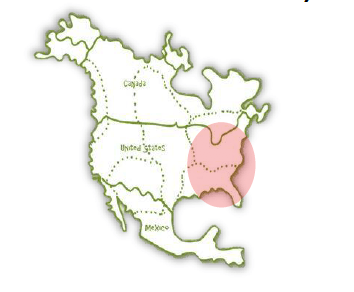 Native Americans Jeopardy Template