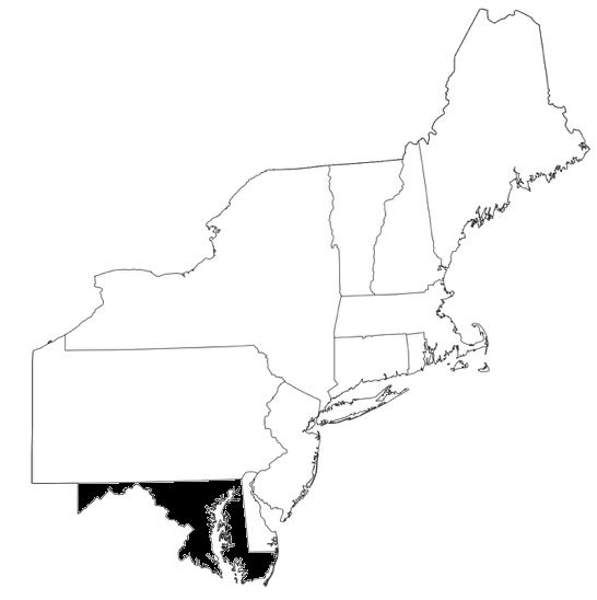 Northeast Region Jeopardy Template