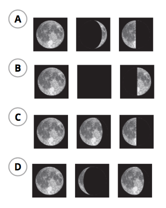 Seasons/Moon Phases