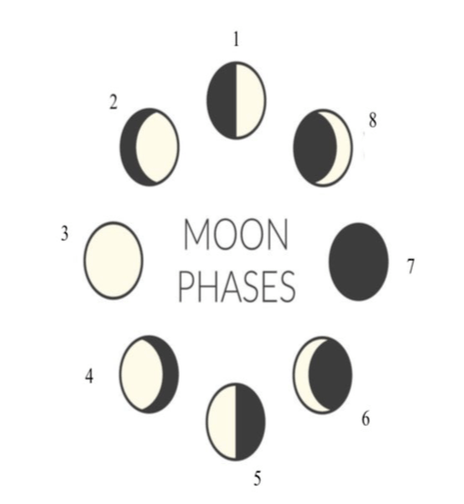 Seasons/Moon Phases