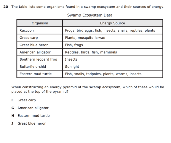Food Webs and Succession Jeopardy Template
