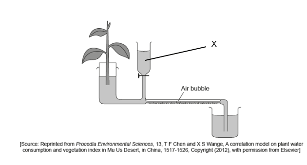 IB Bio II Review - Set 5