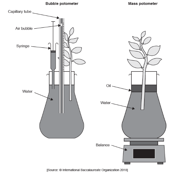 IB Bio II Review - Set 5