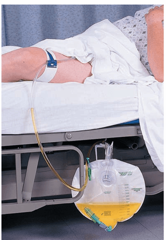 Infection Prevention Jeopardy Template