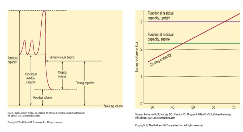 Respiratory Physiology Jeopardy Template