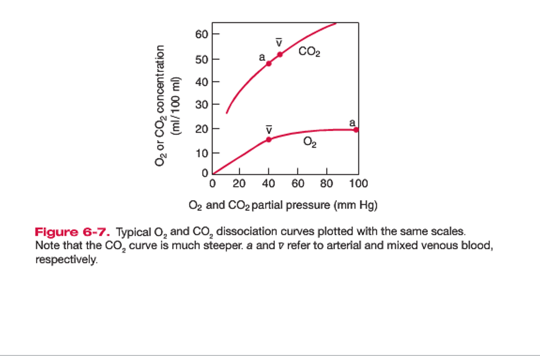 Respiratory Physiology Jeopardy Template