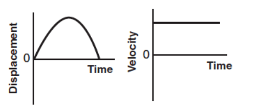 One Dimensional Motion - AP Physics 1 Jeopardy Template
