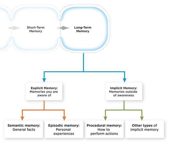 Final Exam Review: Chapters 1-8