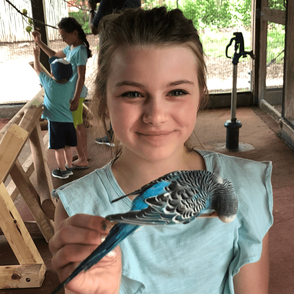 Tripp Family Jeopardy Jeopardy Template