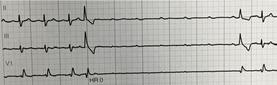 EP Jeopardy Jeopardy Template