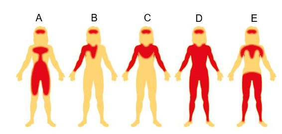 Year 7: Muscles and Bones Review Jeopardy Template