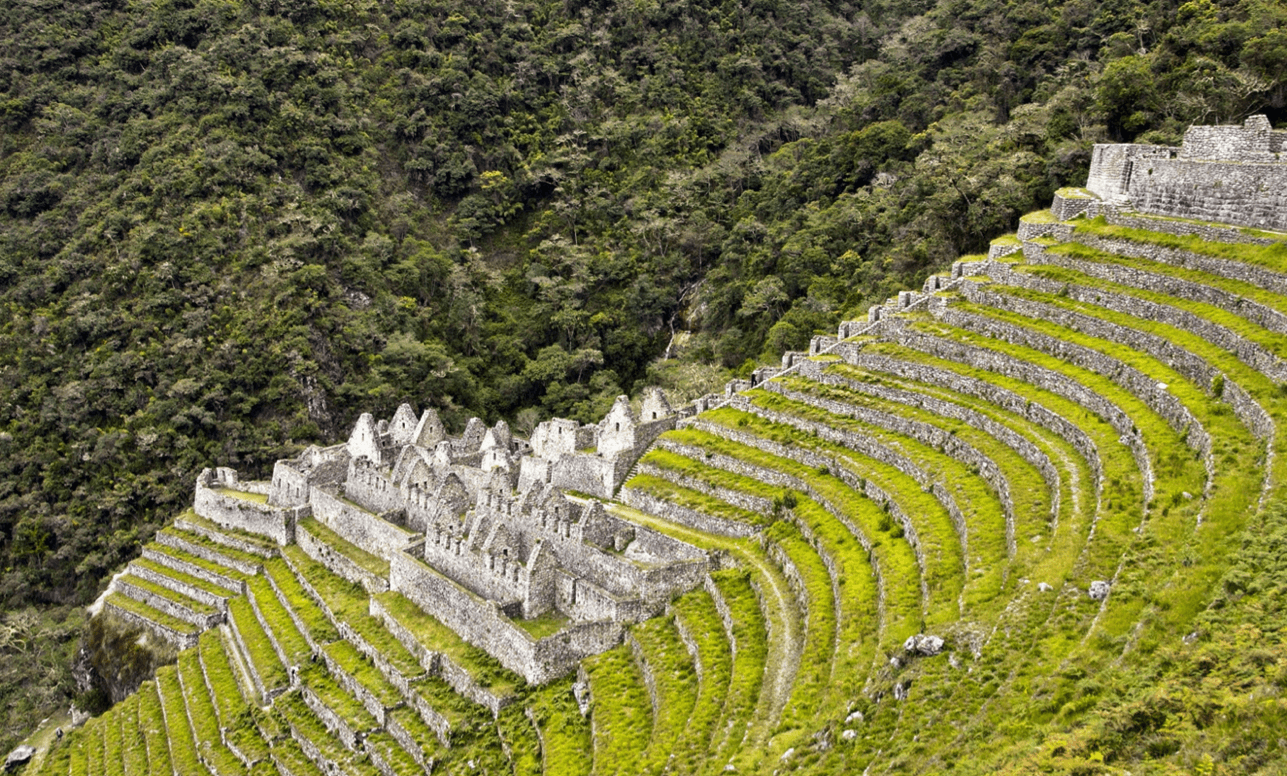 Mayan Terrace Farming