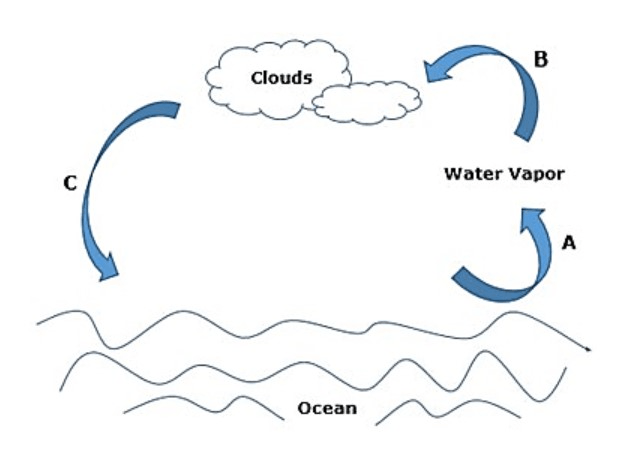 Unit 5: Weather and Water Cycle Jeopardy Template