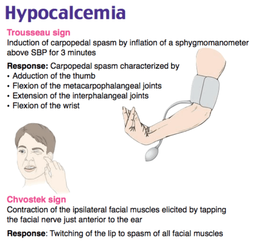 Endo Endo Endo! Jeopardy Template
