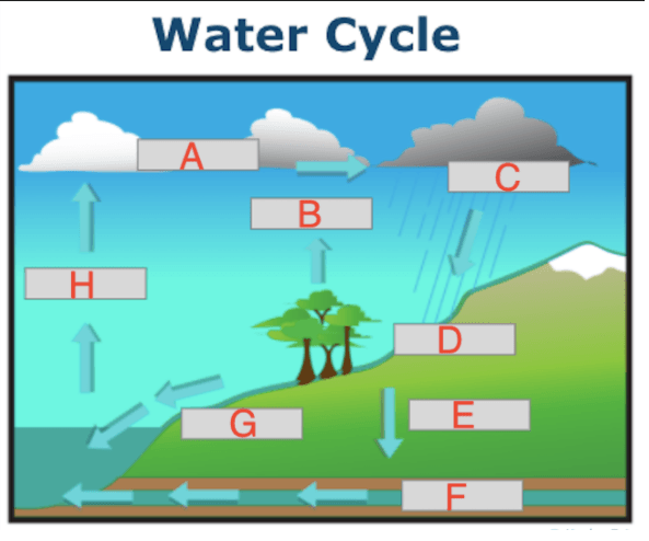 Water Cycle Review Jeopardy Template