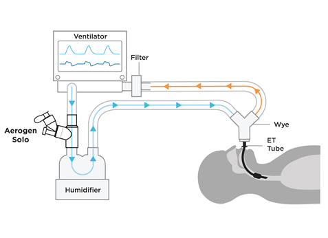 RT-APPRECIATION WEEK Jeopardy Template