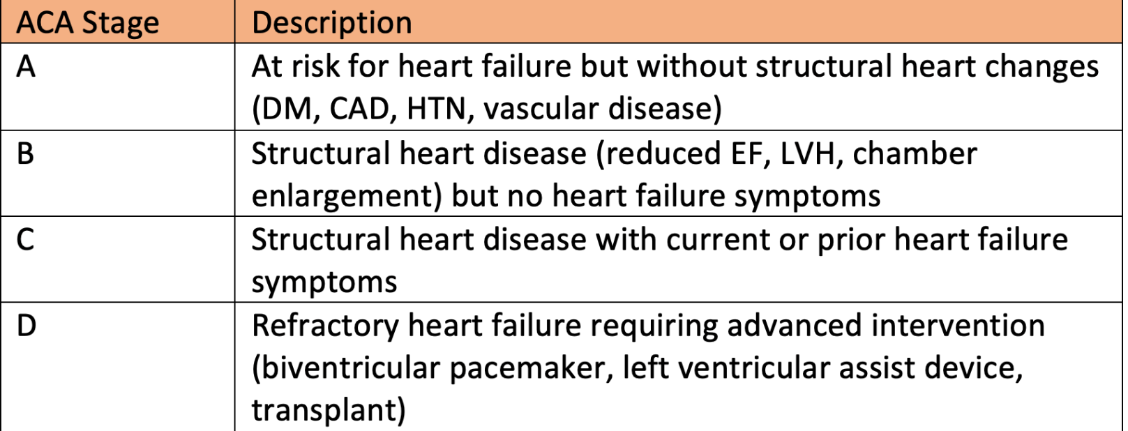 MKSAP Cardiology Board Review