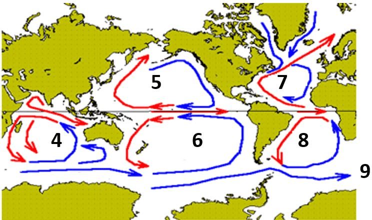 Review Ocean Currents Jeopardy Template