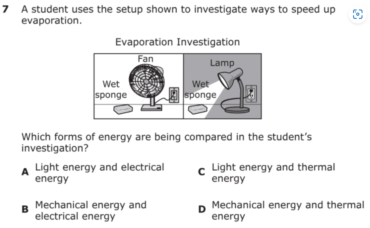 STAAR Review 5th Grade Science Jeopardy Template