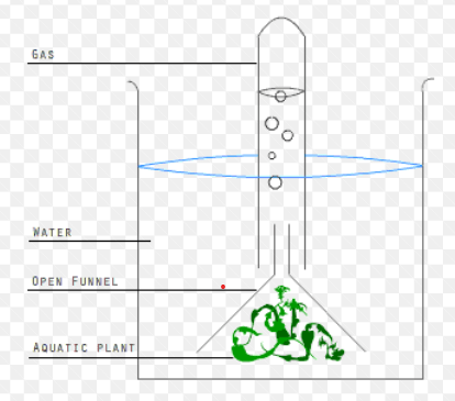 Unit 3 Review Jeopardy Template